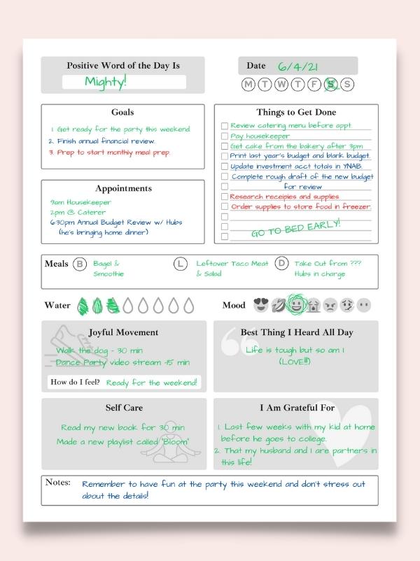 Create My Day Success Journal | PANS/PANDAS/ARFID Resources | The ...